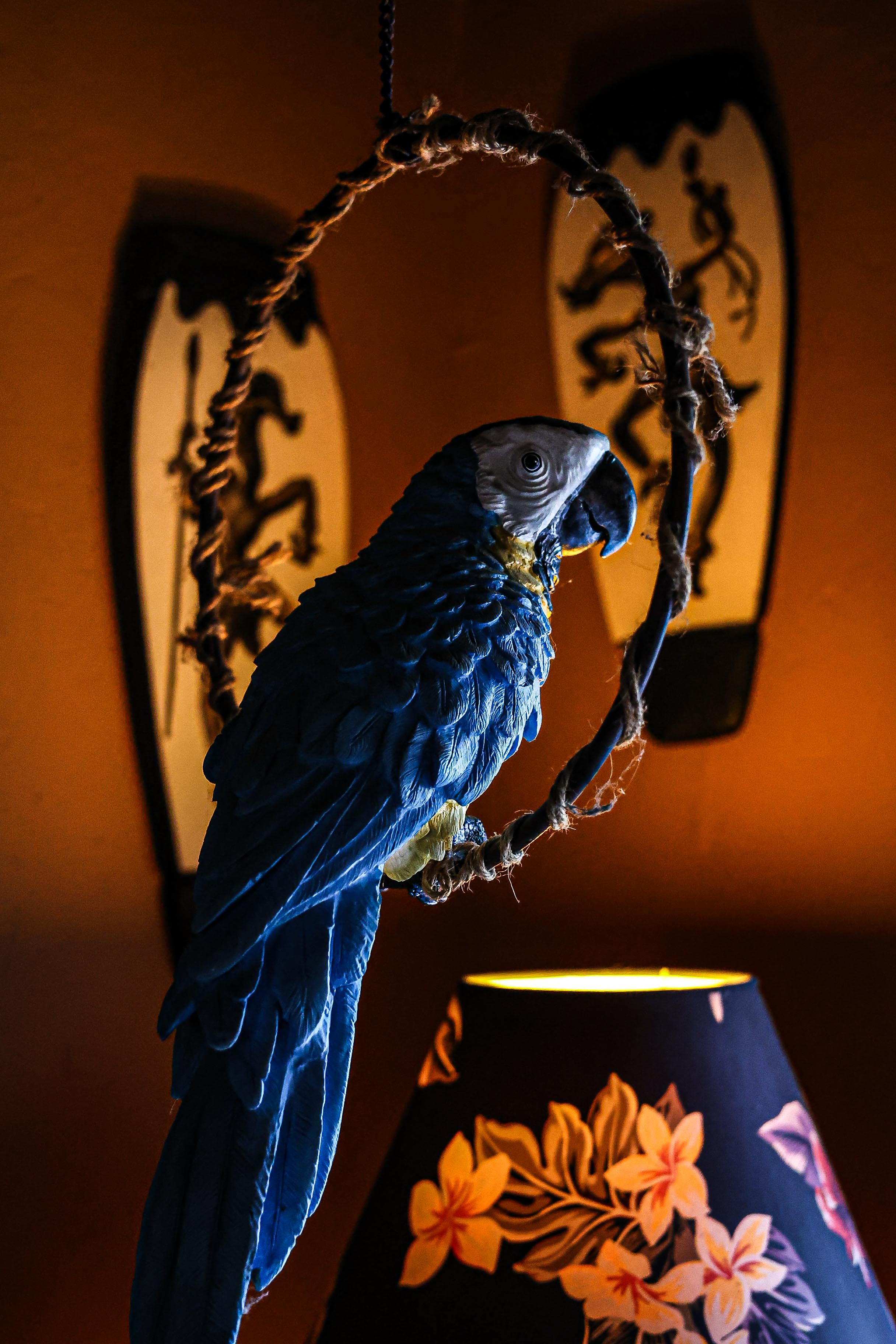 Play peek-a-boo, and UPS might too. – Polynesiacs